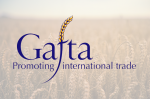 GAFTA: Basics to Know - Gulfinside