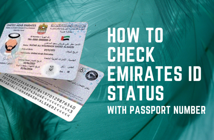How To Check Emirates ID Status With A Passport Number? - Gulfinside